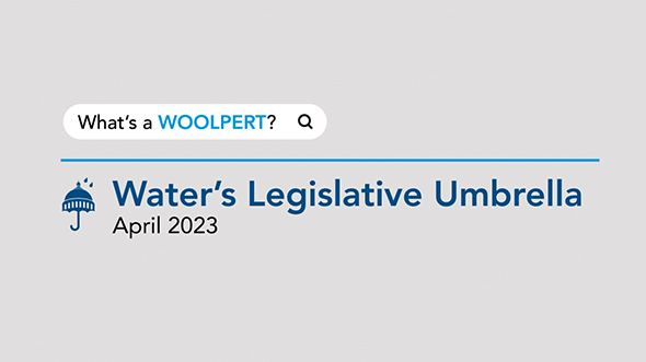 What's a Woolpert? Episode 1: Water's Legislative Umbrella - Woolpert